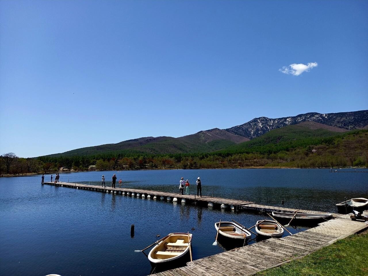 遊び疲れ限界～💦 子供とワンちゃんの付... / akky.mさんのモーメント | YAMAP / ヤマップ