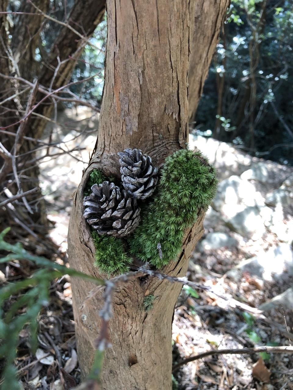 sunのページ | YAMAP / ヤマップ