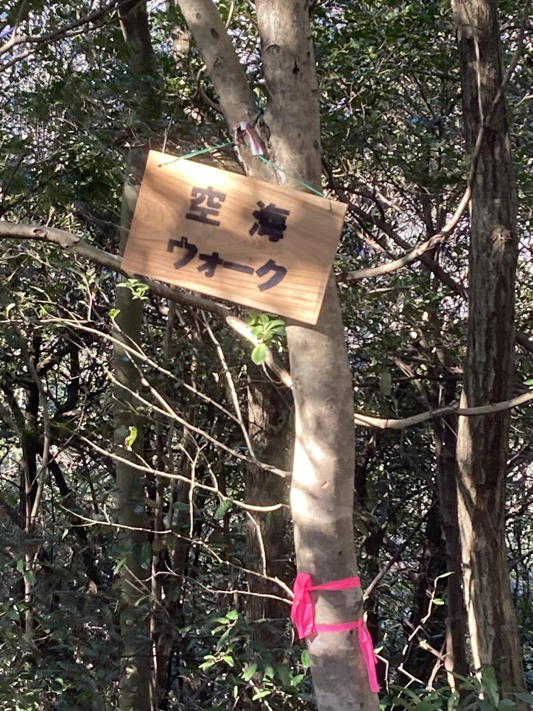 香色山・筆ノ山 / ubaさんの大麻山・象頭山・琴平山の活動データ | YAMAP / ヤマップ