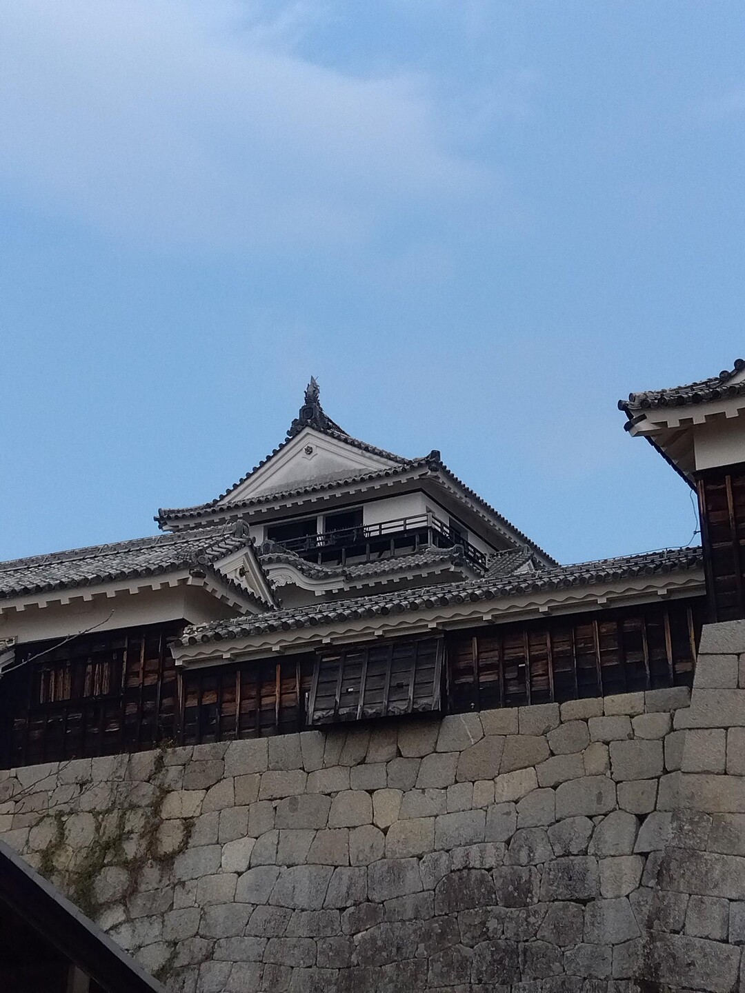 市内ラン10km / MRCH Yoshidaさんの松山市（南エリア）の活動データ | YAMAP / ヤマップ