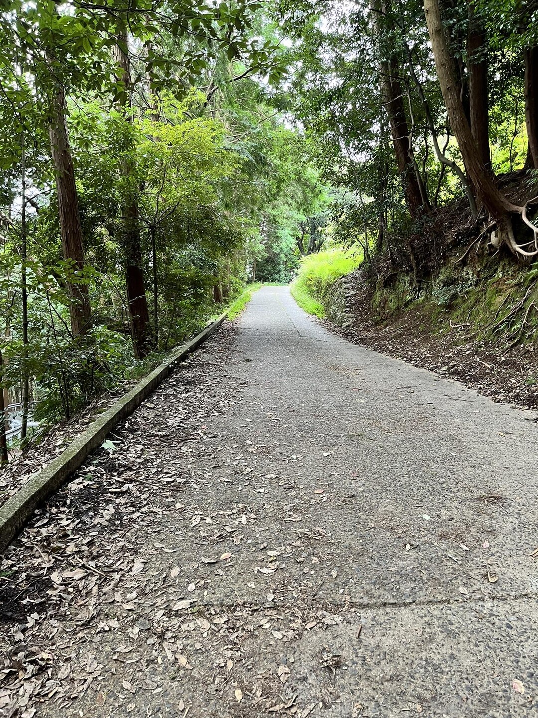 takayamaさんの投稿したフィールドメモ | YAMAP / ヤマップ