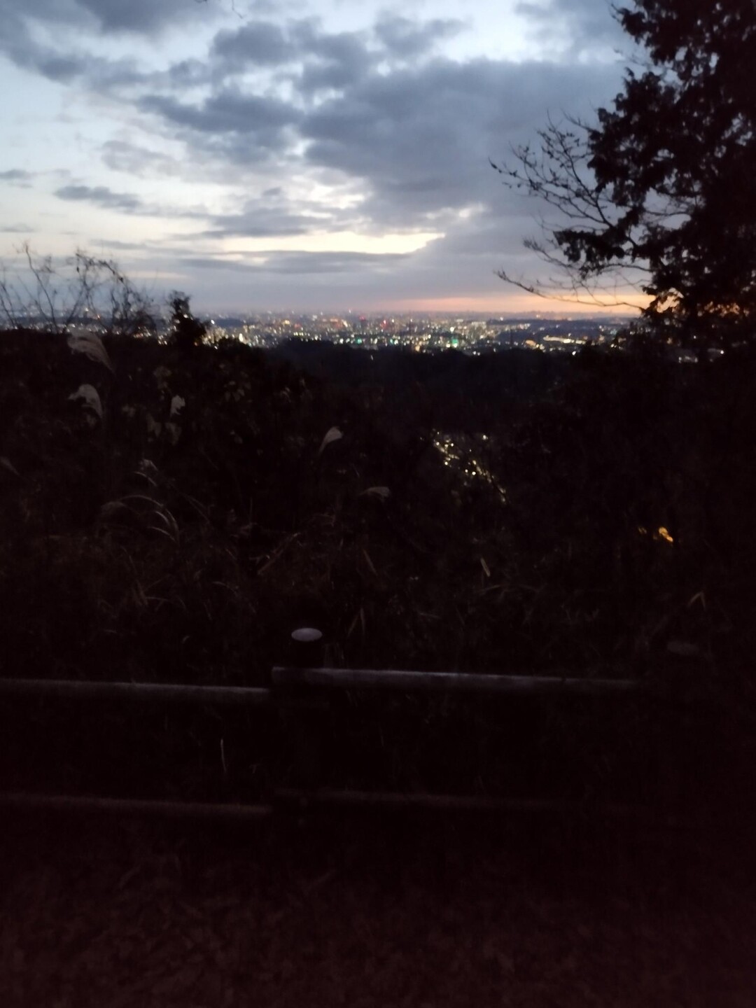 高尾山 / horitakaさんの高尾山・陣馬山・景信山の活動データ | YAMAP / ヤマップ