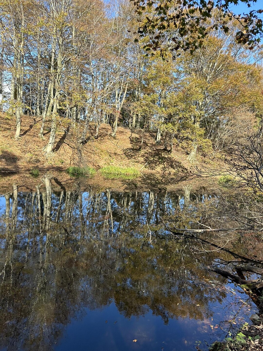 岩谷山・野見ヶ岳 / yumieさんの野見ヶ岳・岩谷山の活動データ | YAMAP / ヤマップ