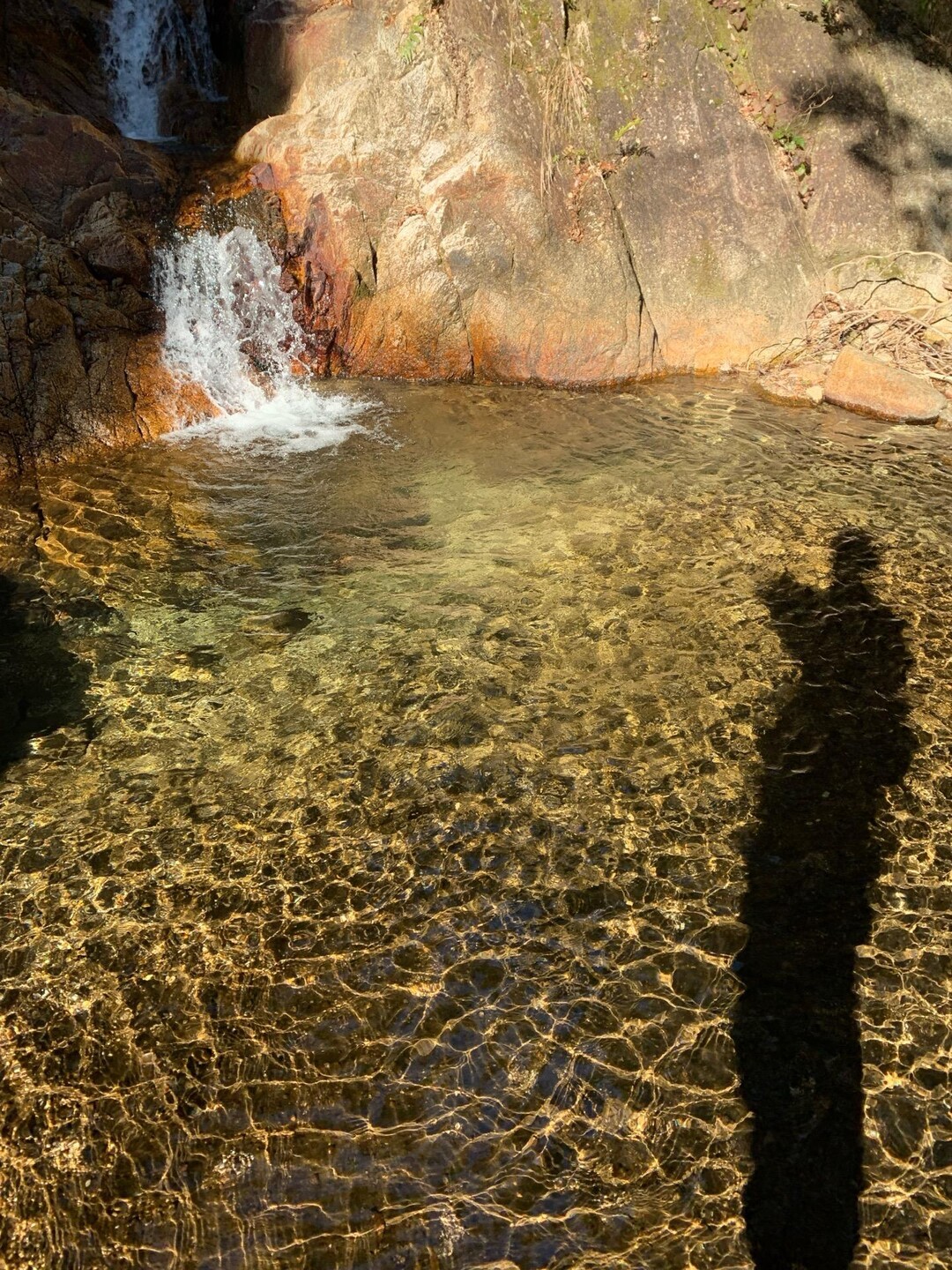 2025/1/26(日)☀️ 尾高山 / kazeさんの釈迦ヶ岳の活動データ | YAMAP / ヤマップ