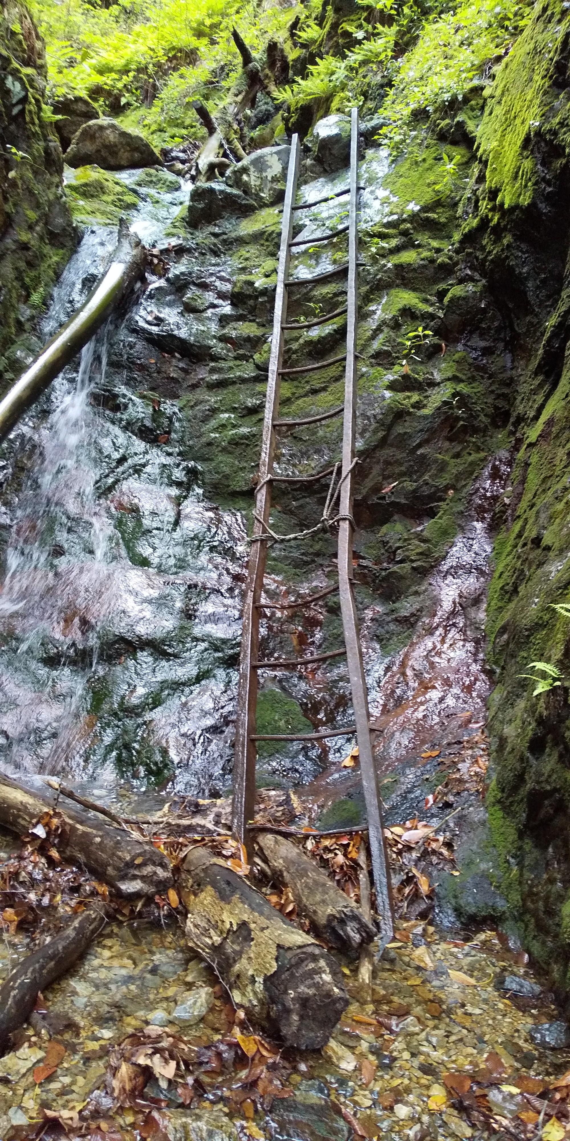 行者山・根本山・十二山・熊鷹山 / KeyZさんの根本山・熊鷹山・氷室山の活動日記 | YAMAP / ヤマップ