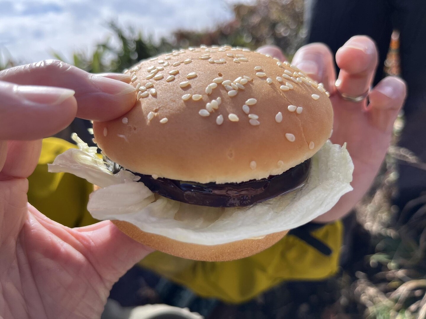 赤兎山 / TKSさんの赤兎山・猪鼻山の活動データ | YAMAP / ヤマップ