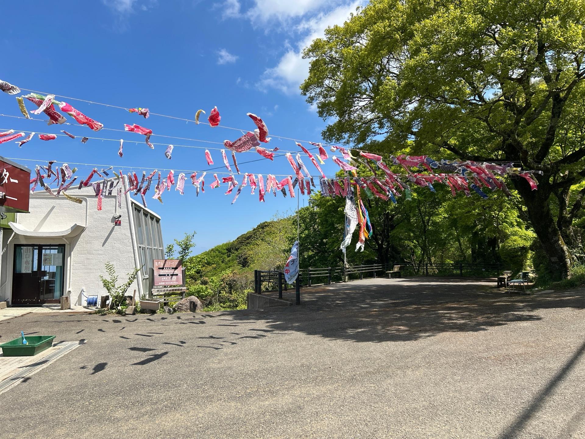 皿倉山 / kemaさんの皿倉山・花尾山・帆柱山の活動日記 | YAMAP / ヤマップ