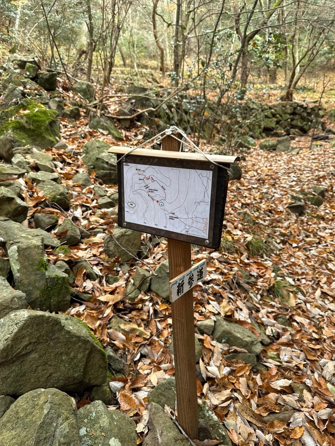 EIさんの投稿したフィールドメモ | YAMAP / ヤマップ