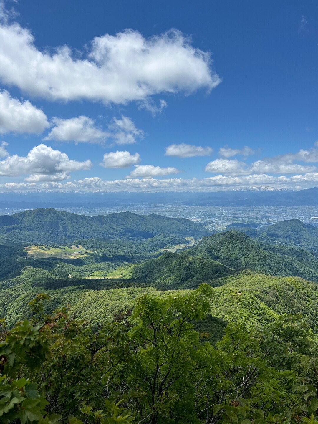 ikuminpapaさんの投稿したフィールドメモ | YAMAP / ヤマップ