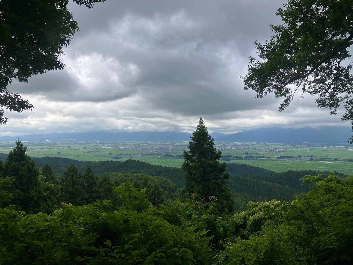 第116話・梅雨菩提☔️ ︎菩提寺山 / Naluさんの菩提寺山・高立山・護摩堂山の活動データ | YAMAP / ヤマップ