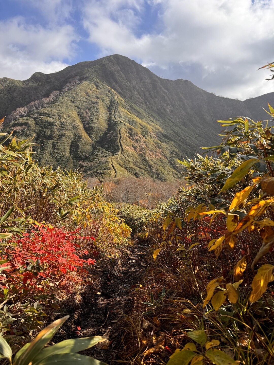 紅葉🍁経ヶ岳・北岳 / mk_013さんの経ヶ岳・法恩寺山の活動データ | YAMAP / ヤマップ