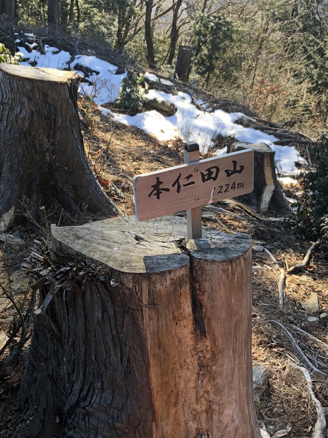川苔山（川乗山）-2019-12-28 / R3 kenさんの川苔山（川乗山）の活動データ | YAMAP / ヤマップ