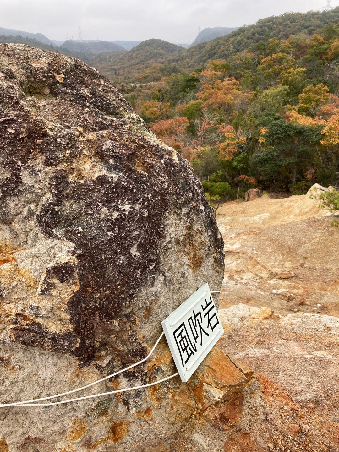 裏六甲 大岩岳・東大岩岳 / 勇次さんの大岩岳の活動データ | YAMAP / ヤマップ