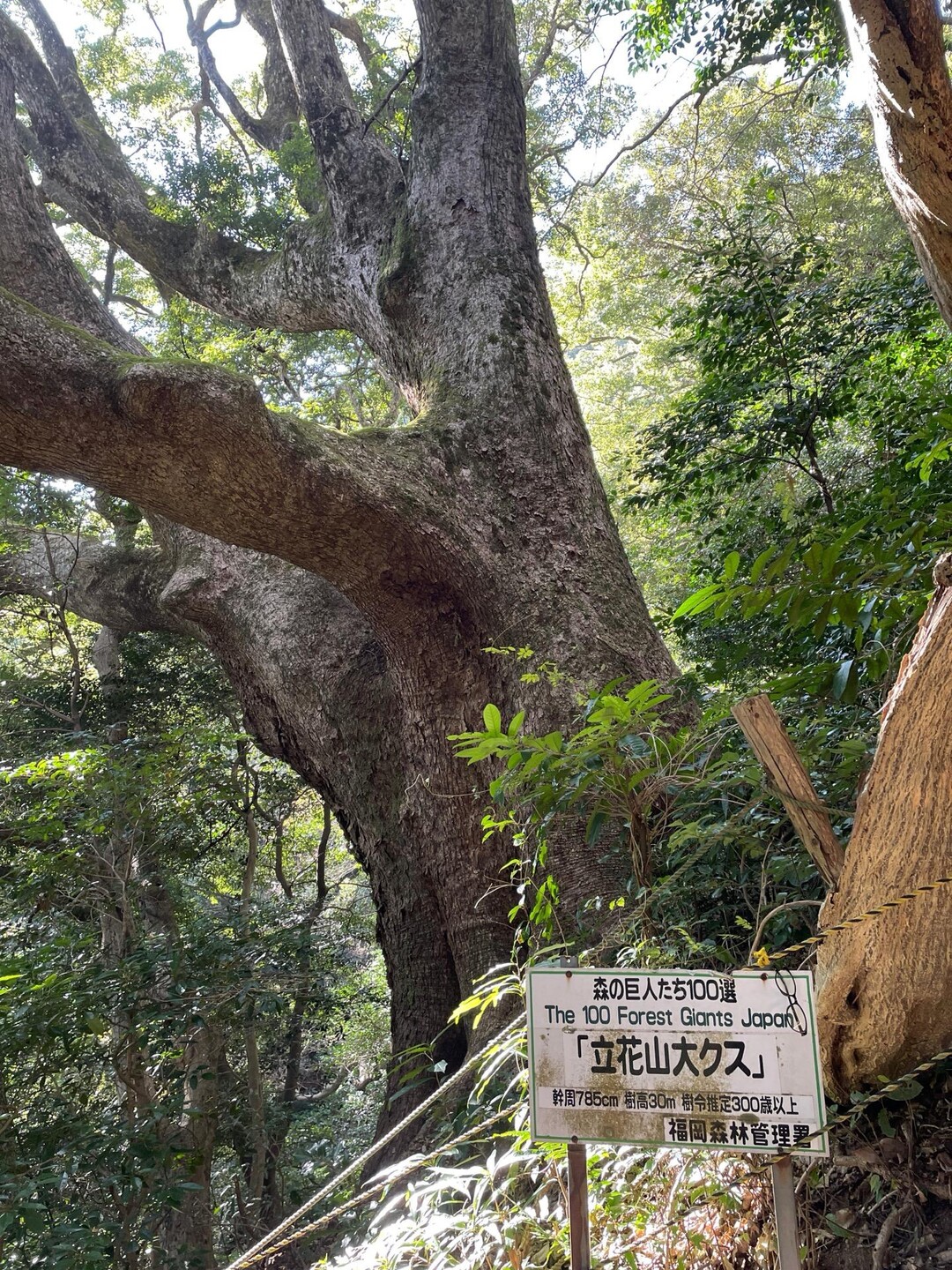 元旦に立花山 / 130Kさんの立花山・三日月山・城ノ越山の活動データ | YAMAP / ヤマップ
