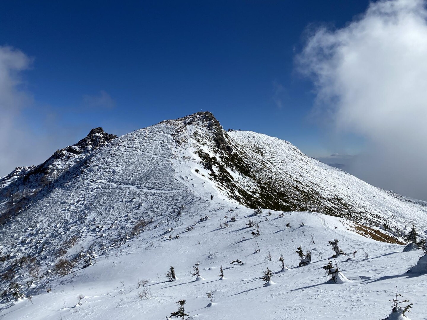 西天狗・東天狗👺黒百合ヒュッテのビーフシチュ〜🍛 / nikoさんの八ヶ岳（赤岳・硫黄岳・天狗岳）の活動データ | YAMAP / ヤマップ