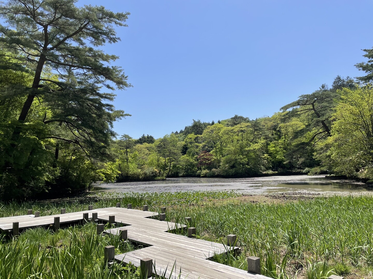 新神戸からトゥエンティクロスを抜けて谷上へ / daiksyさんの六甲山・長峰山・摩耶山の活動日記 | YAMAP / ヤマップ