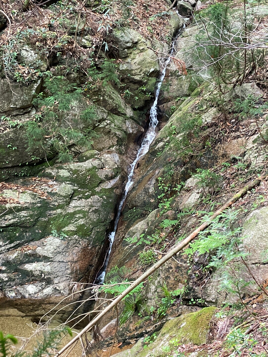 Marry🐾さんの投稿したフィールドメモ | YAMAP / ヤマップ