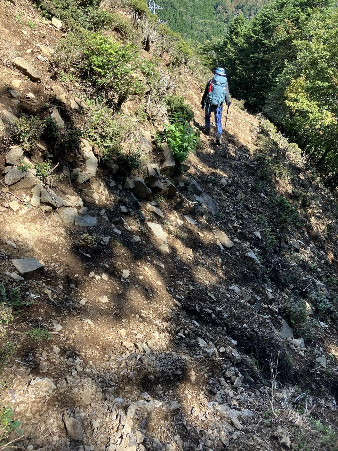 shokoさんの投稿したフィールドメモ | YAMAP / ヤマップ