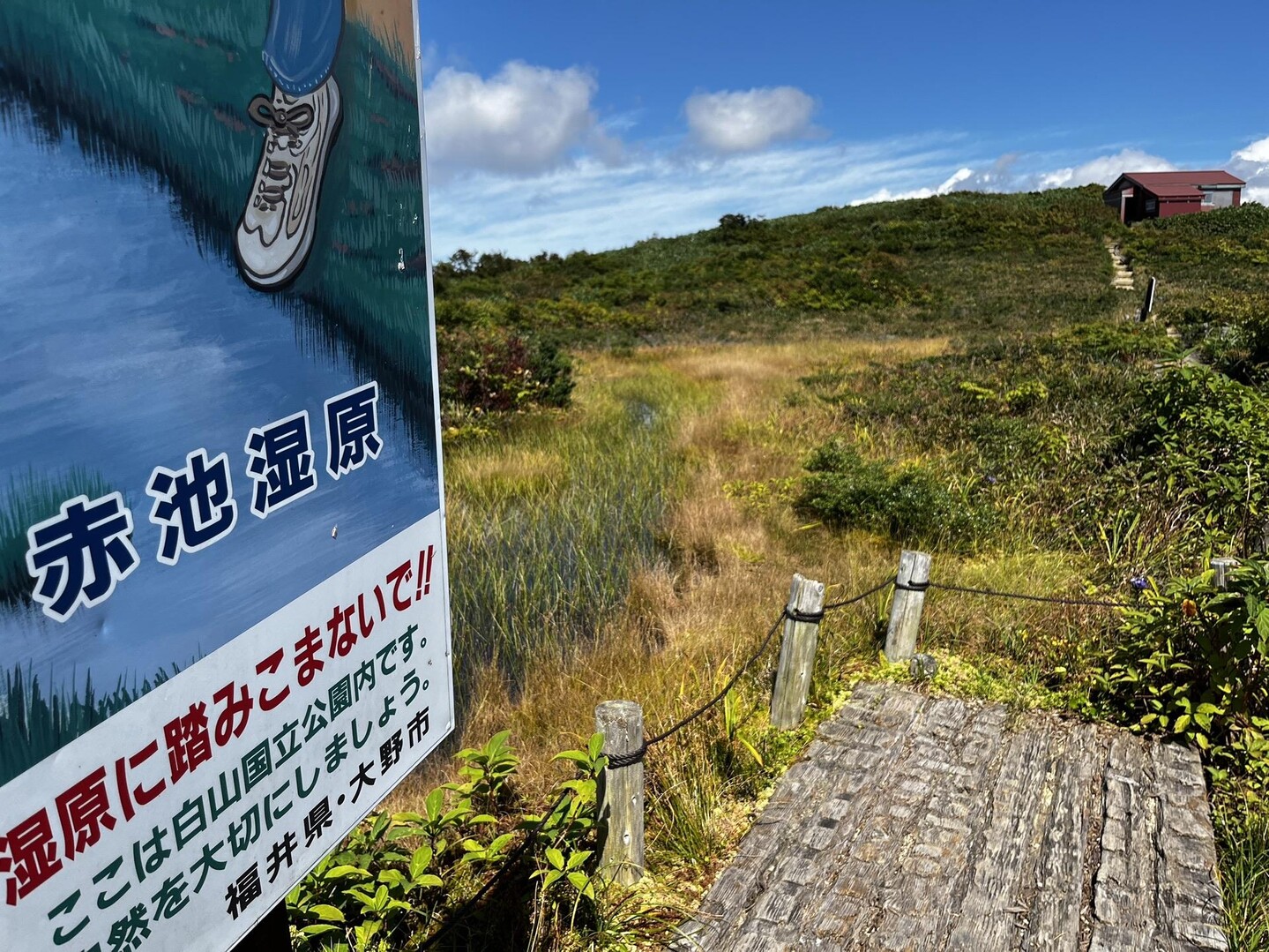 秋を探して・赤兎山 / タケsan.さんの赤兎山・猪鼻山の活動データ | YAMAP / ヤマップ