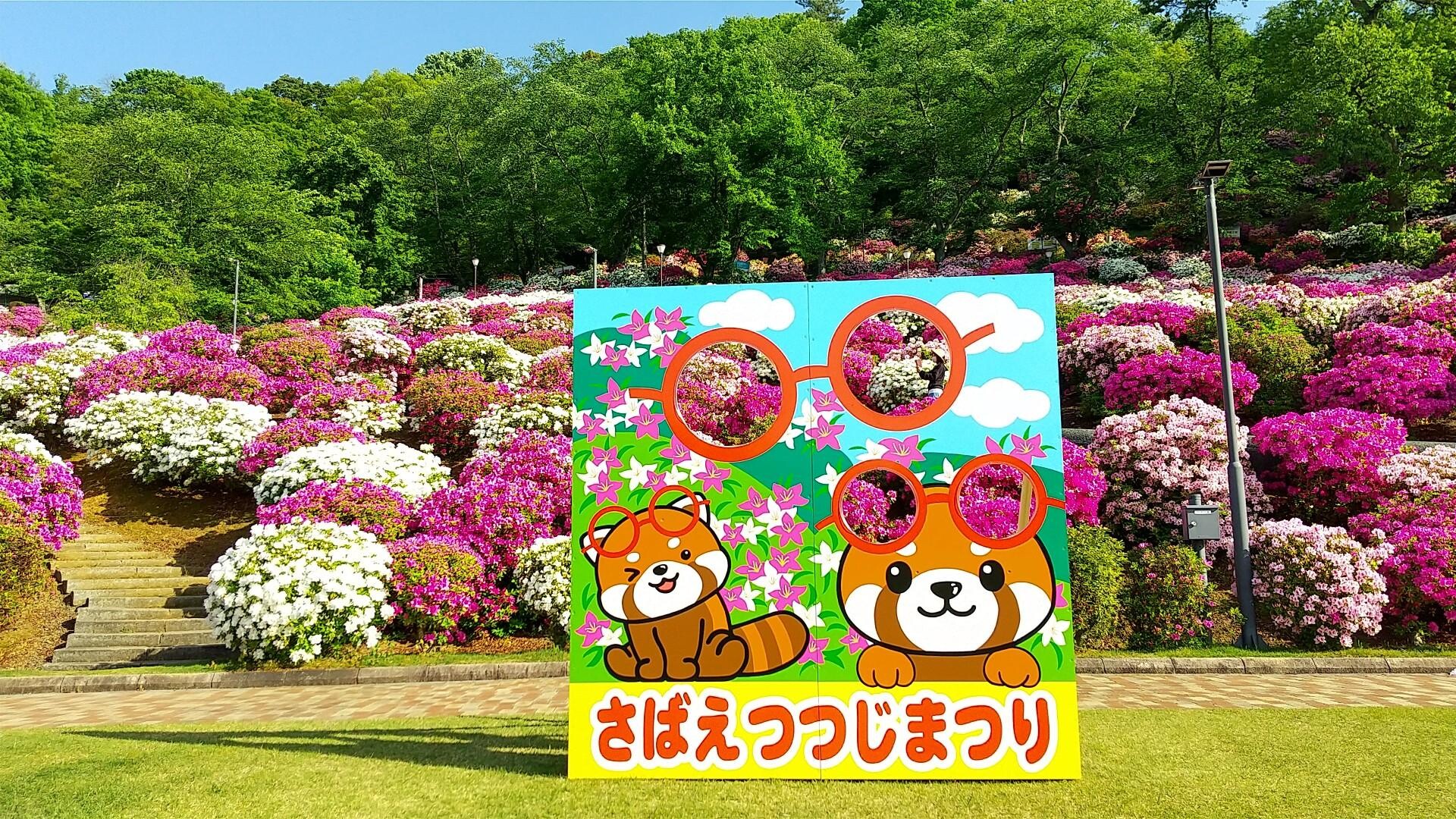 西山公園🌺朝活🚶‍♀️ 今年もキレイ... / れもんT🍋さんのモーメント | YAMAP / ヤマップ