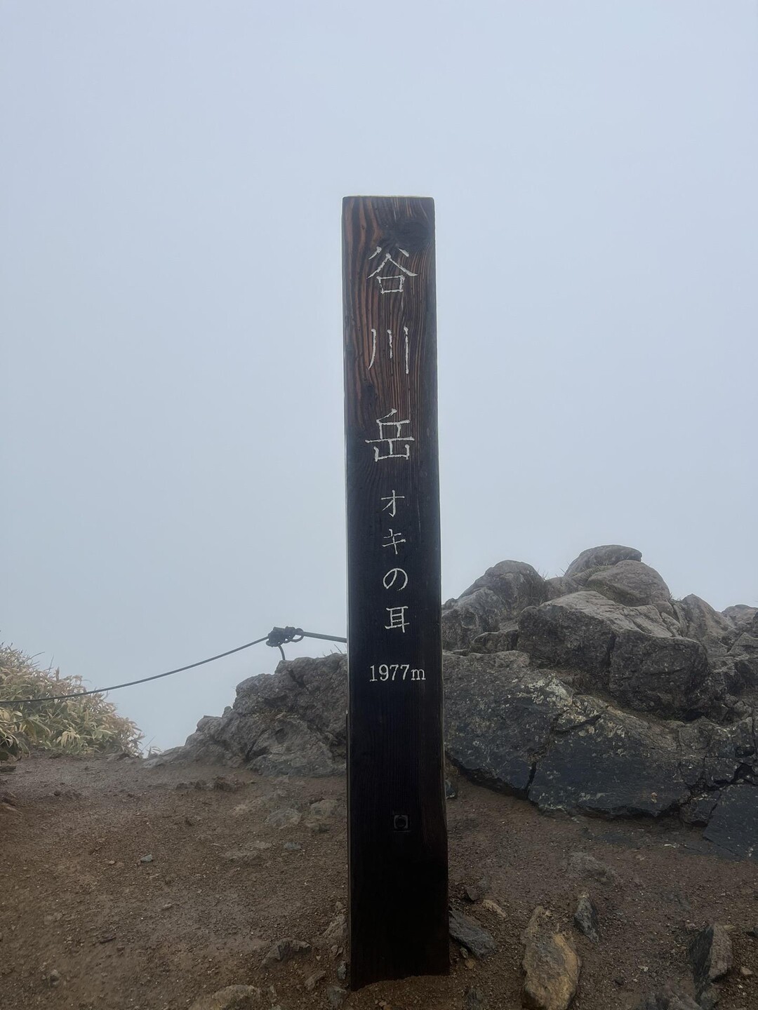 谷川岳22/100 / Mr.Pさんの谷川岳・七ツ小屋山・大源太山の活動日記 | YAMAP / ヤマップ