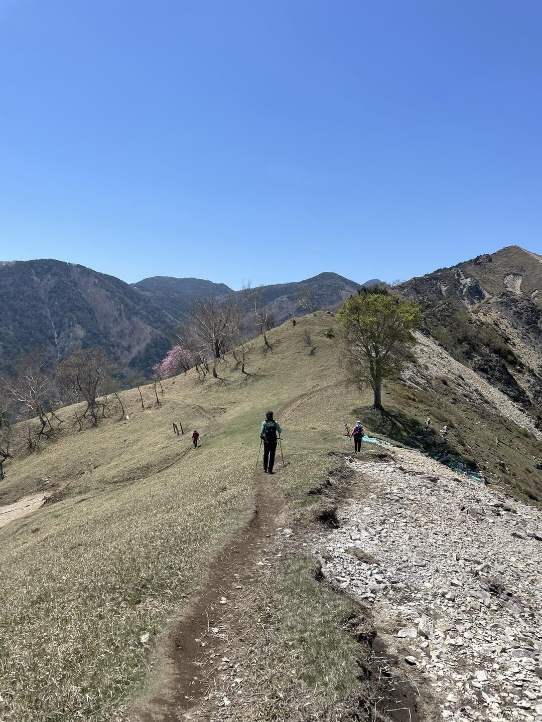 中倉山 / KKさんの社山・半月山の活動データ | YAMAP / ヤマップ