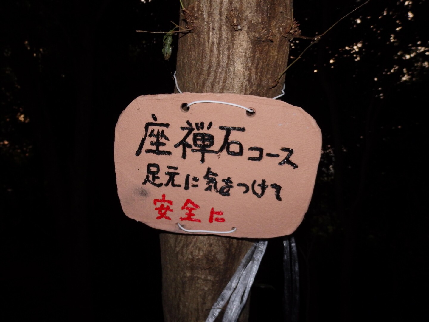 桝形山【312.3m】今日は座禅石ｺｰｽで周回しましたよ\(^o^)／ / さとちゃんさんの堀坂山・観音岳・桝形山（白米城）の活動データ | YAMAP / ヤマップ