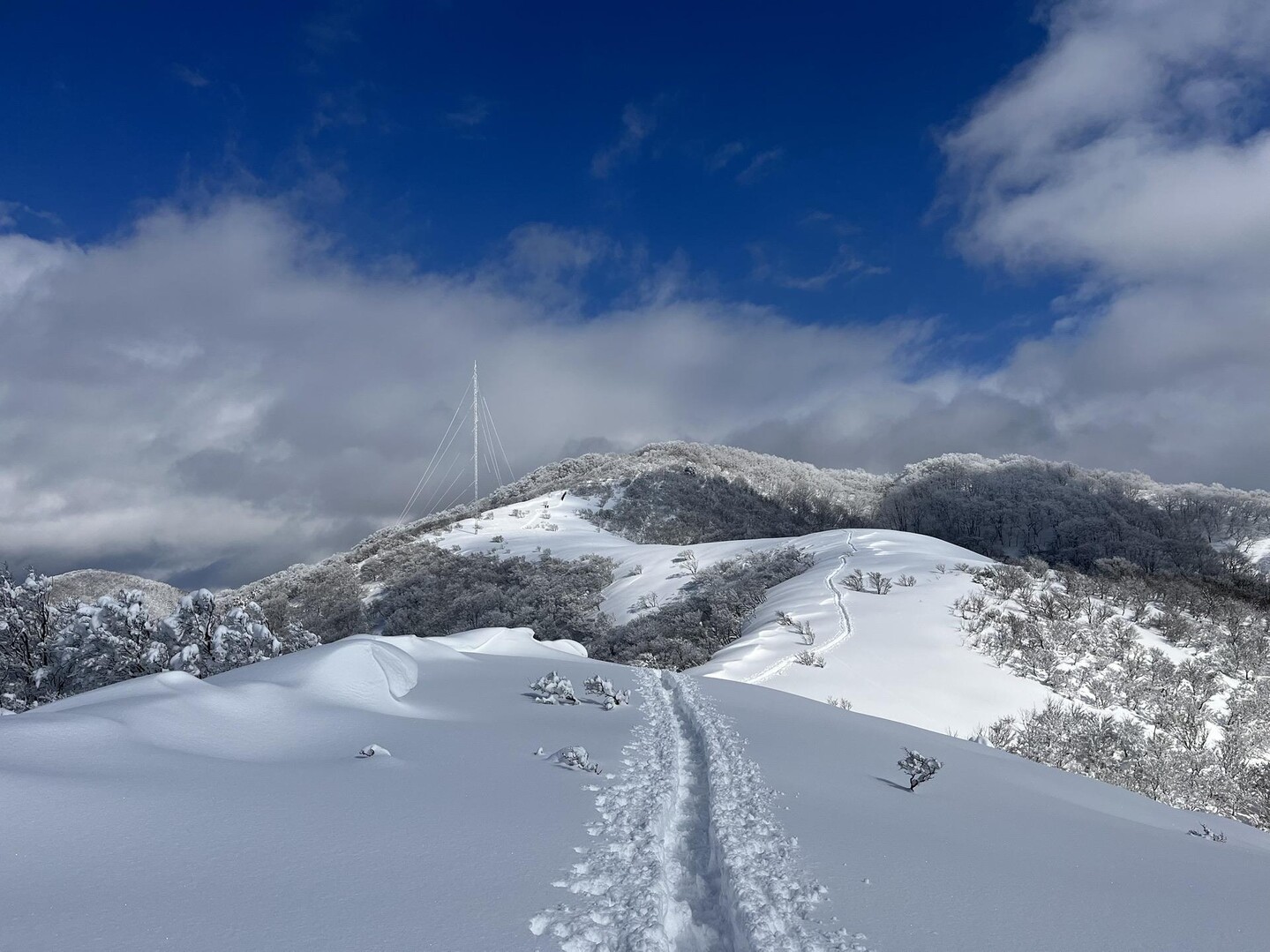 三十三間山 / TKSさんの三十三間山・三重嶽・武奈ヶ嶽の活動データ | YAMAP / ヤマップ