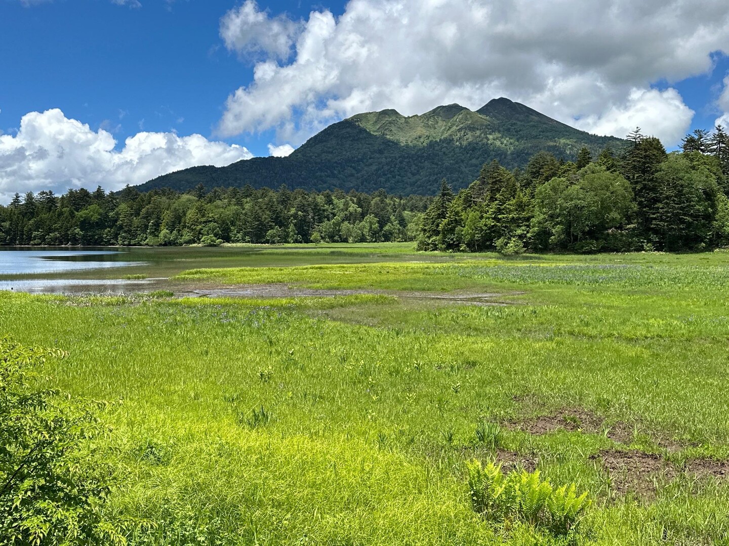 82座 俎嵓・燧ヶ岳（柴安嵓）・ミノブチ岳 / eigoさんの尾瀬・燧ヶ岳の活動データ | YAMAP / ヤマップ