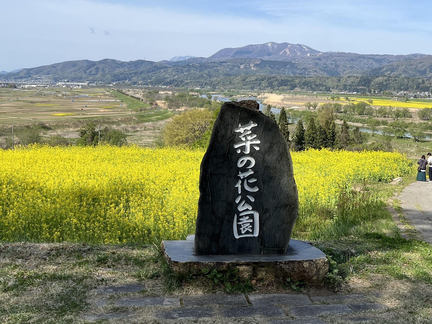 飯山市菜の花公園と道の駅花の駅千曲川に菜... / jittaさんのモーメント | YAMAP / ヤマップ