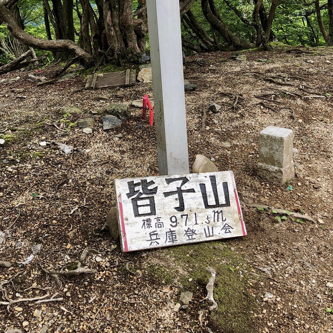 皆子山 / Hirofumi I🕶さんの皆子山の活動データ | YAMAP / ヤマップ