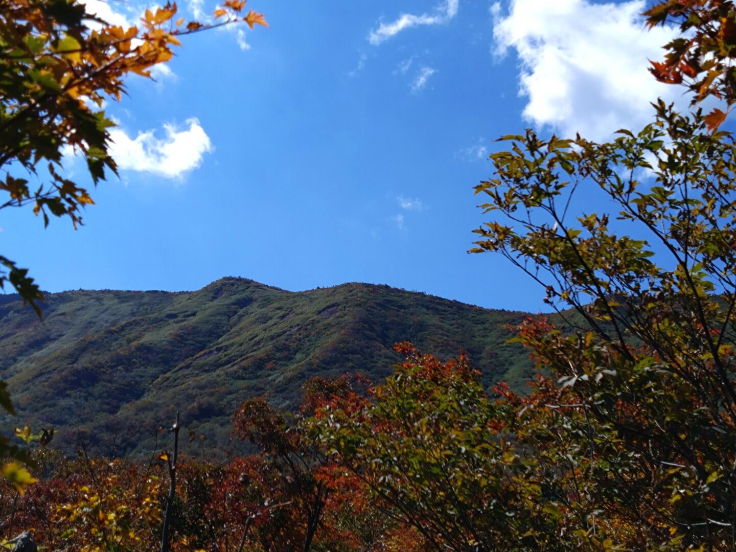 後烏帽子岳 / ma-mamaさんの蔵王山・雁戸山・不忘山の活動データ | YAMAP / ヤマップ