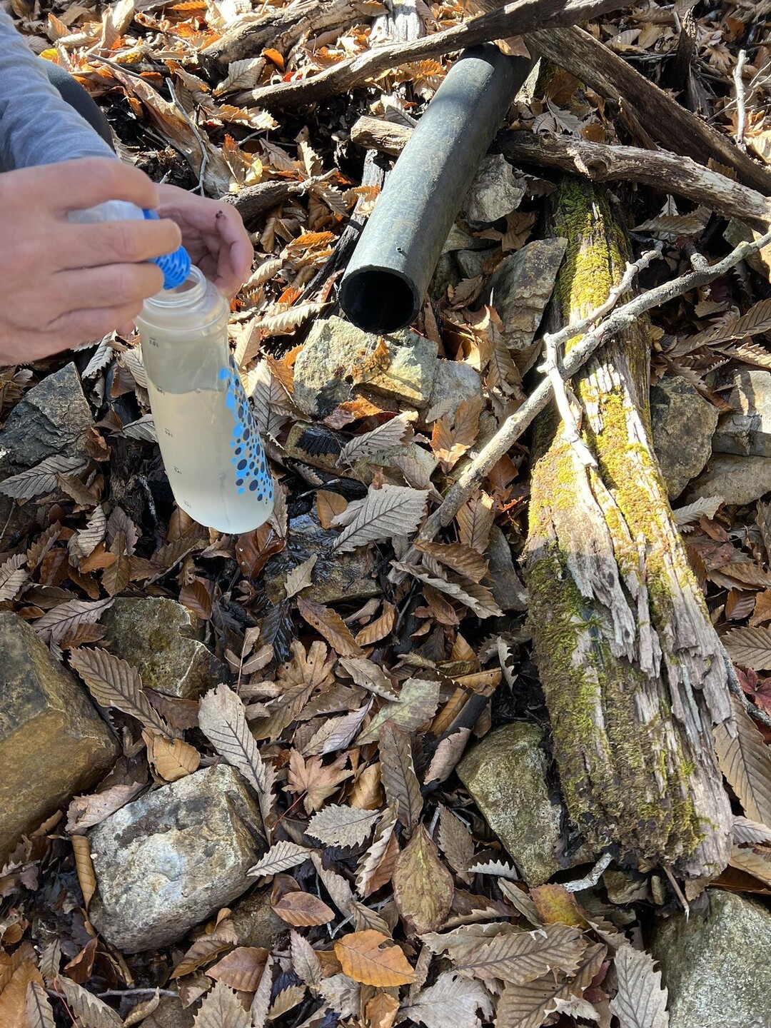 Shin Gさんの投稿したフィールドメモ | YAMAP / ヤマップ