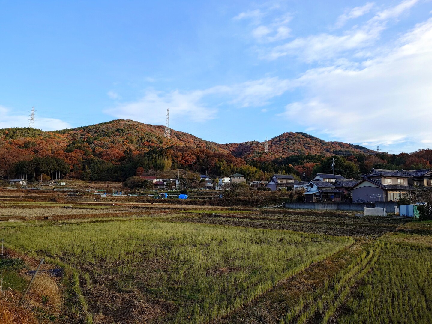 春日井三山（道樹山・大谷山・弥勒山） / kubotchさんの春日井三山・弥勒山・大谷山・道樹山の活動データ | YAMAP / ヤマップ
