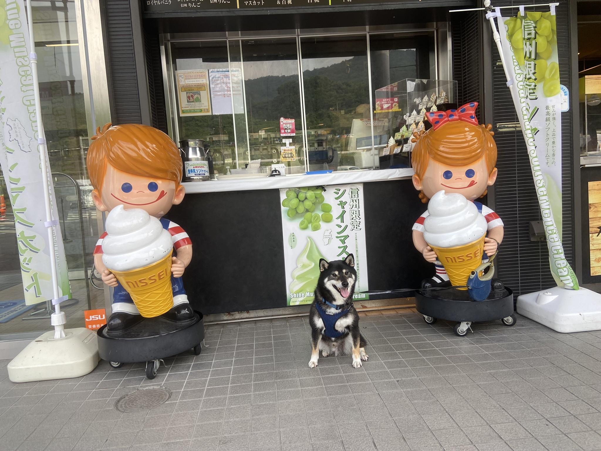 先ずはYouTube見てね https:... / Corchanさんのモーメント | YAMAP / ヤマップ