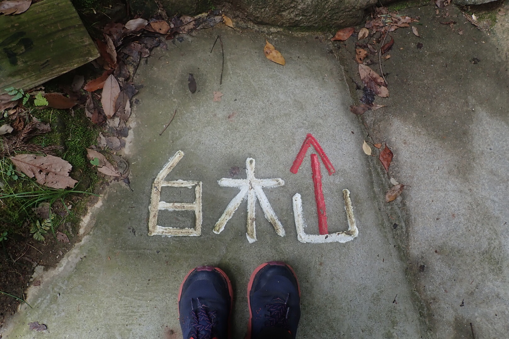 みんな頑張ってる💪白木山×2 / koroさんの白木山・高松山・鬼ヶ城山の活動日記 | YAMAP / ヤマップ