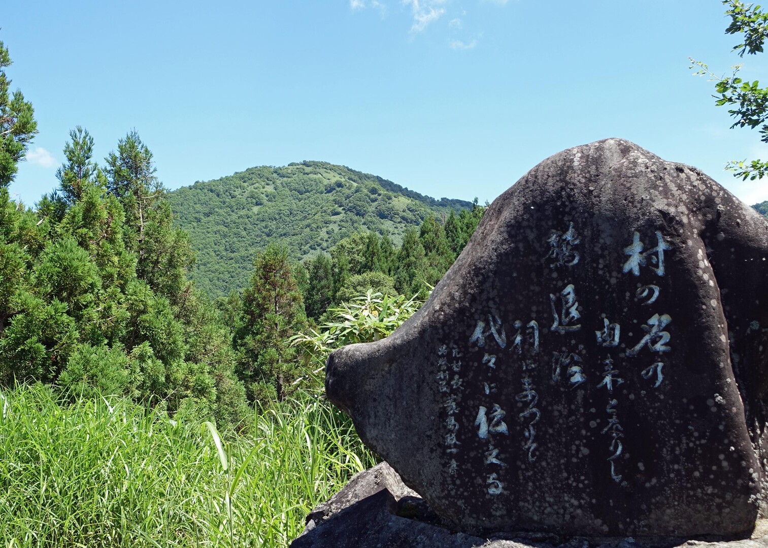 鷲ヶ岳 2023-07-30 / wtaxus（わたくさす）さんの鷲ヶ岳の活動データ | YAMAP / ヤマップ