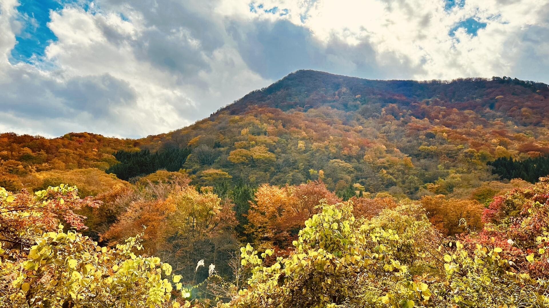 【三方倉山】錦秋の峡谷🍁 / えちごやあゆむさんの面白山・神室岳・大東岳・雨呼山の活動データ | YAMAP / ヤマップ