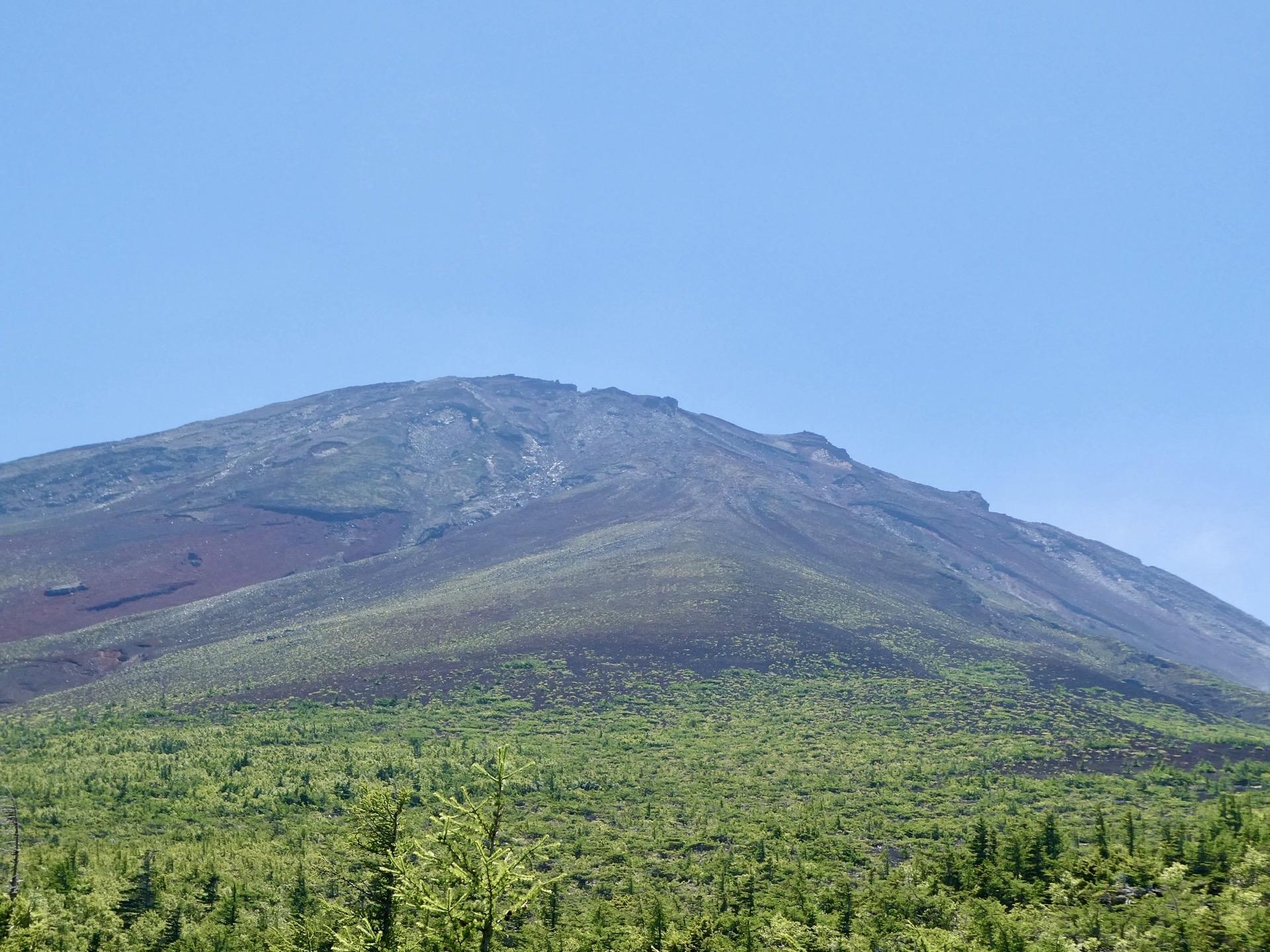 富士山御中道で花観察。 キベリタテハに初... / skipさんのモーメント | YAMAP / ヤマップ