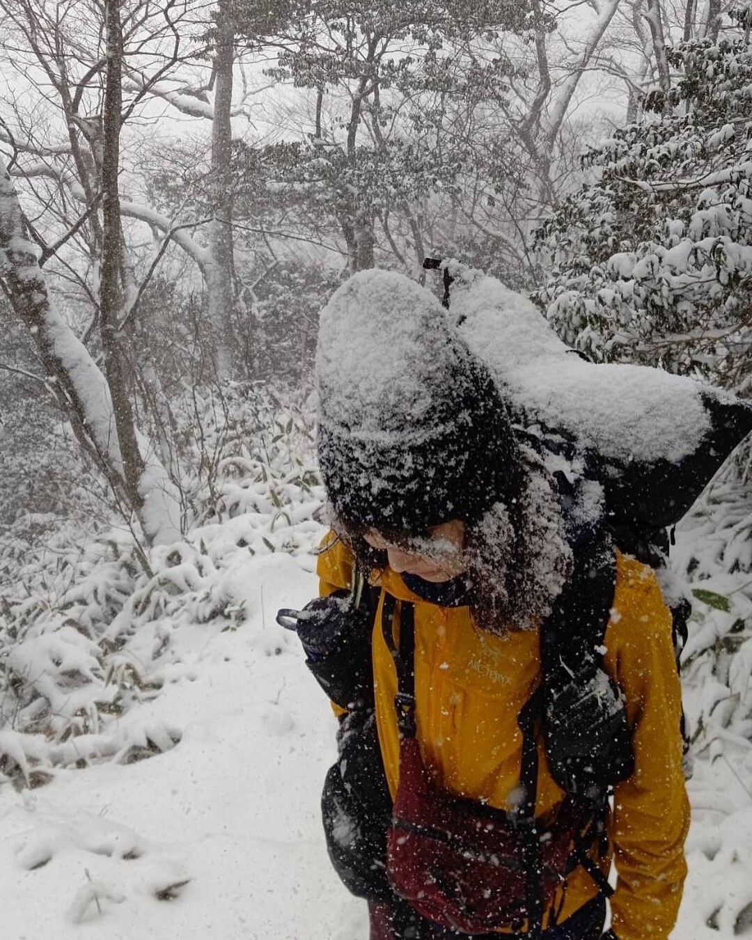 龍頭山 / junjunさんの龍頭山の活動データ | YAMAP / ヤマップ