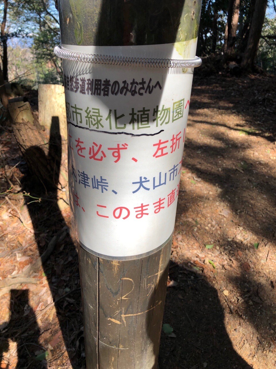 osamさんの投稿したフィールドメモ | YAMAP / ヤマップ