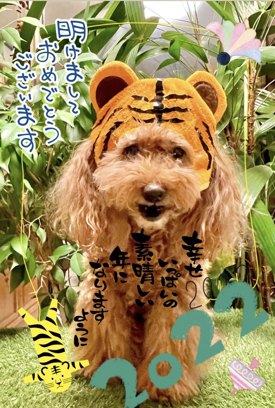 新年明けましておめでとうございます🎍㊗... / papuaさんのモーメント | YAMAP / ヤマップ