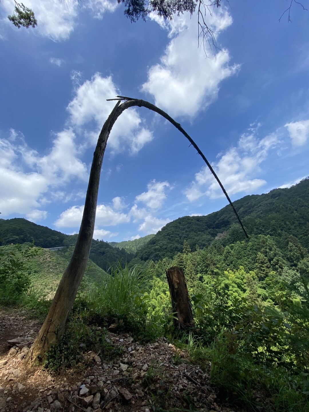 日和田山13 宿谷の滝 / ジョンソンカフェMC. サトシさんの日和田山・物見山の活動データ | YAMAP / ヤマップ