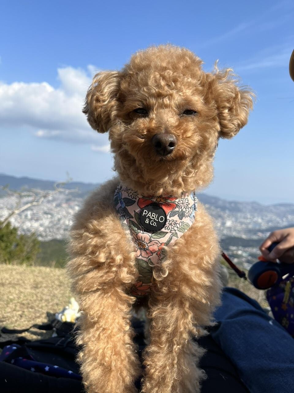 chocoのページ | YAMAP / ヤマップ