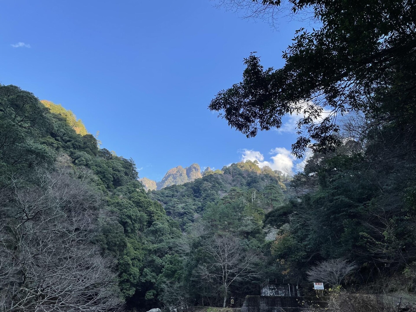 傾山 / kinjunさんの傾山の活動データ | YAMAP / ヤマップ
