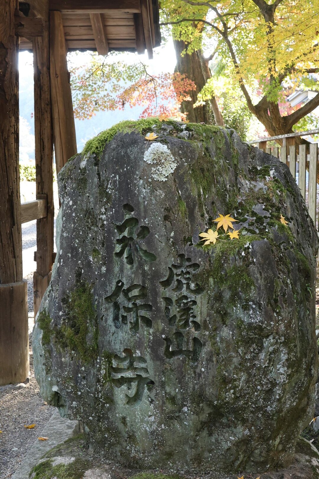 山友ちゃんが多治見の素敵なお寺さんを案内... / mikaさんのモーメント | YAMAP / ヤマップ