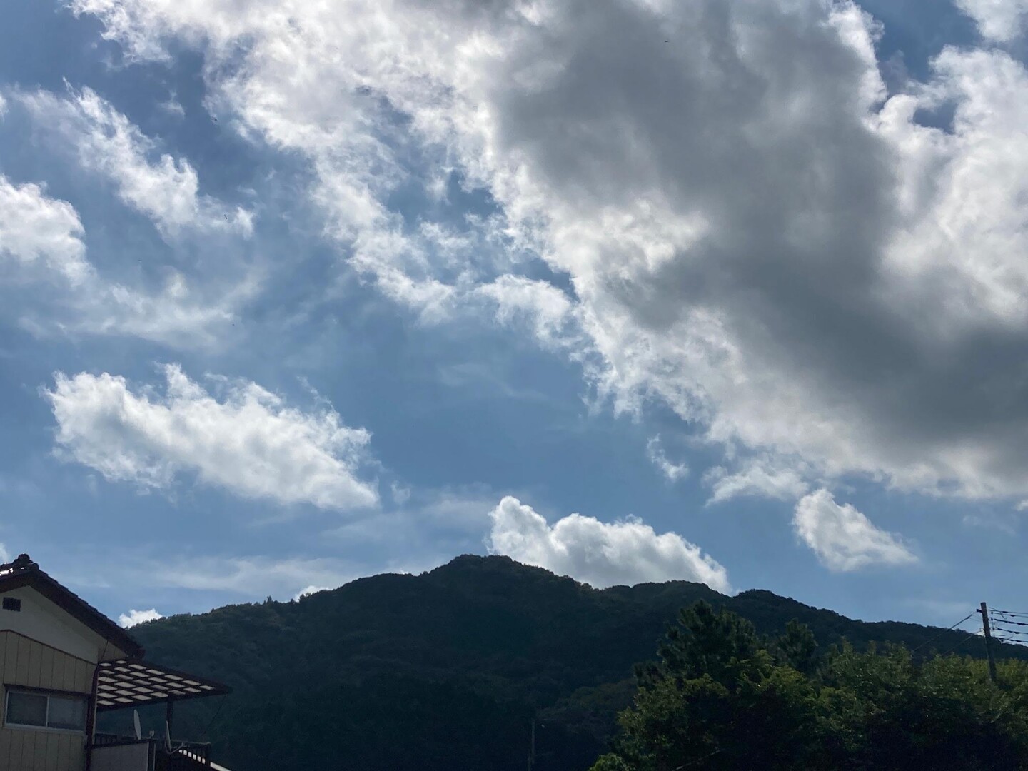 仙元山 #199 〜歩く練習🚶 / taoさんの武蔵嵐山・大平山・仙元山の活動データ | YAMAP / ヤマップ