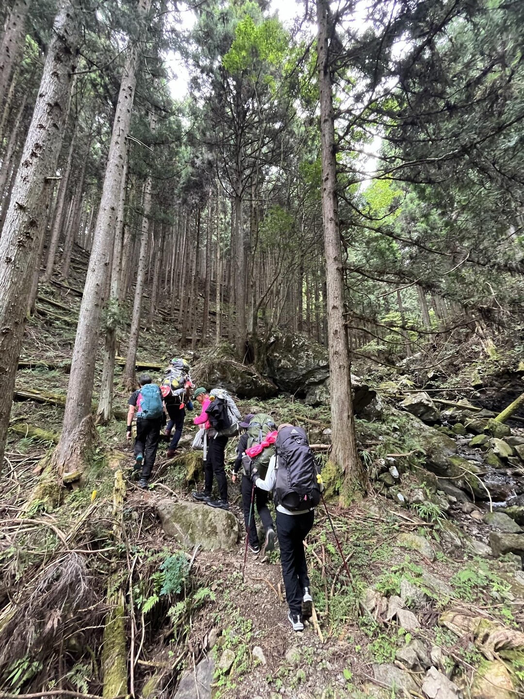 長尾平～金比羅尾根～武蔵五日市駅 / osa.sukeさんの大麻山・象頭山・琴平山の活動データ | YAMAP / ヤマップ