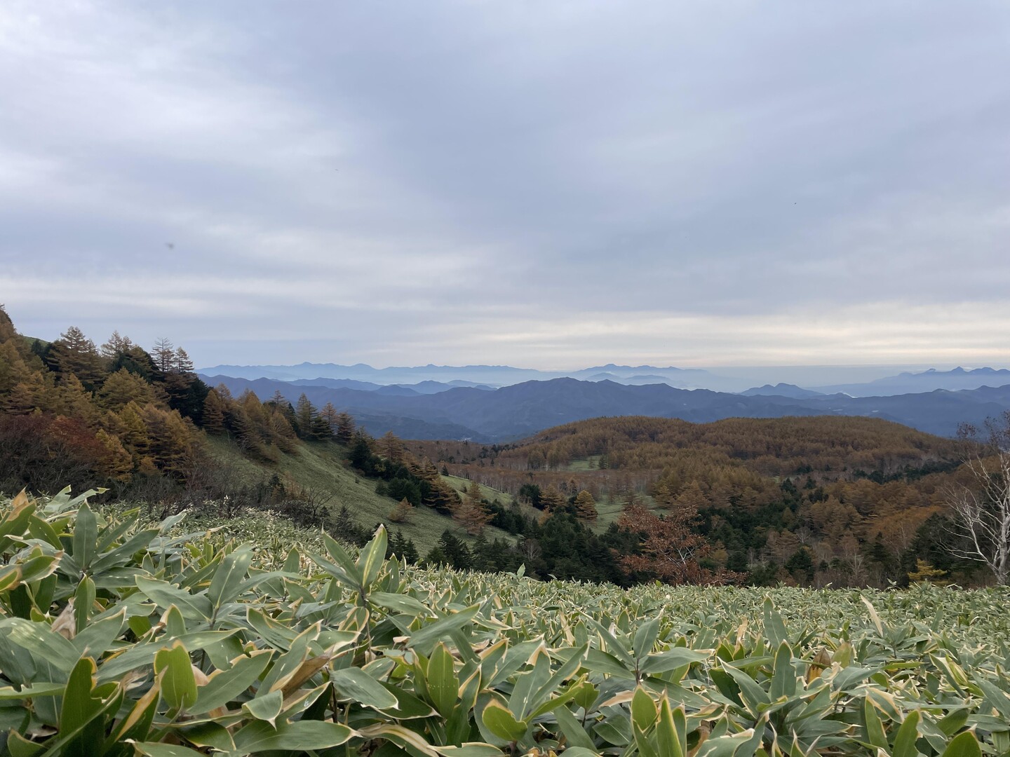 草津温泉〜芳ヶ平〜横手山〜熊の湯スキー場まで / かなこさんの草津白根山・湯釜の活動データ | YAMAP / ヤマップ