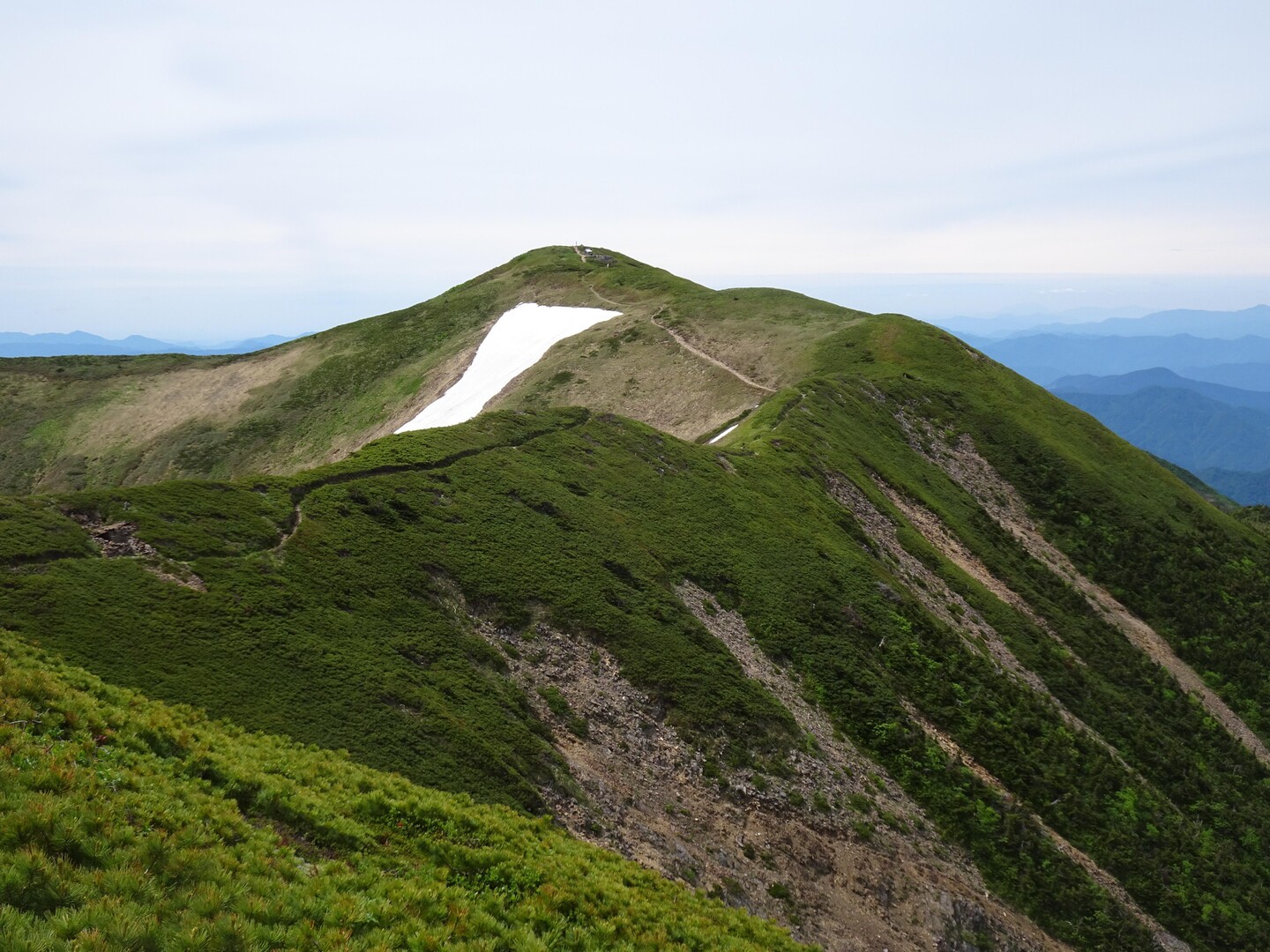 御舎利山・別山 / mooかめさんの白山・別山・銚子ヶ峰の活動データ | YAMAP / ヤマップ